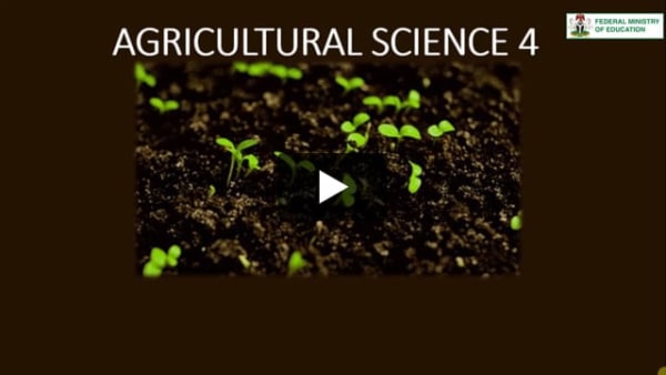 All Resources – Page 798 – eLearn